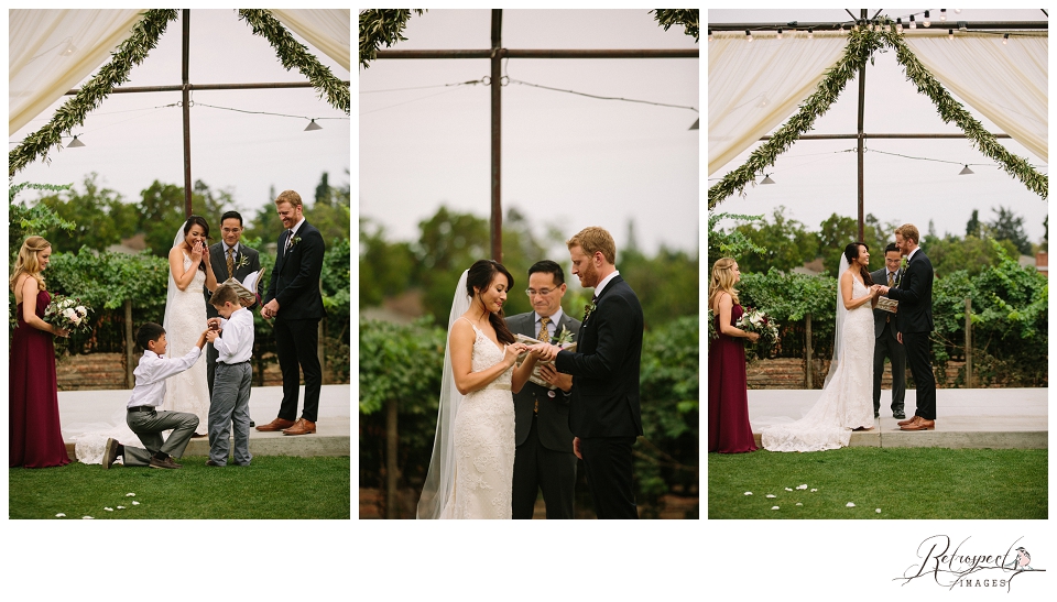 Farmstead Long Meadow Ranch Wedding, Jacqui + Kevin | St Helena Wedding ...