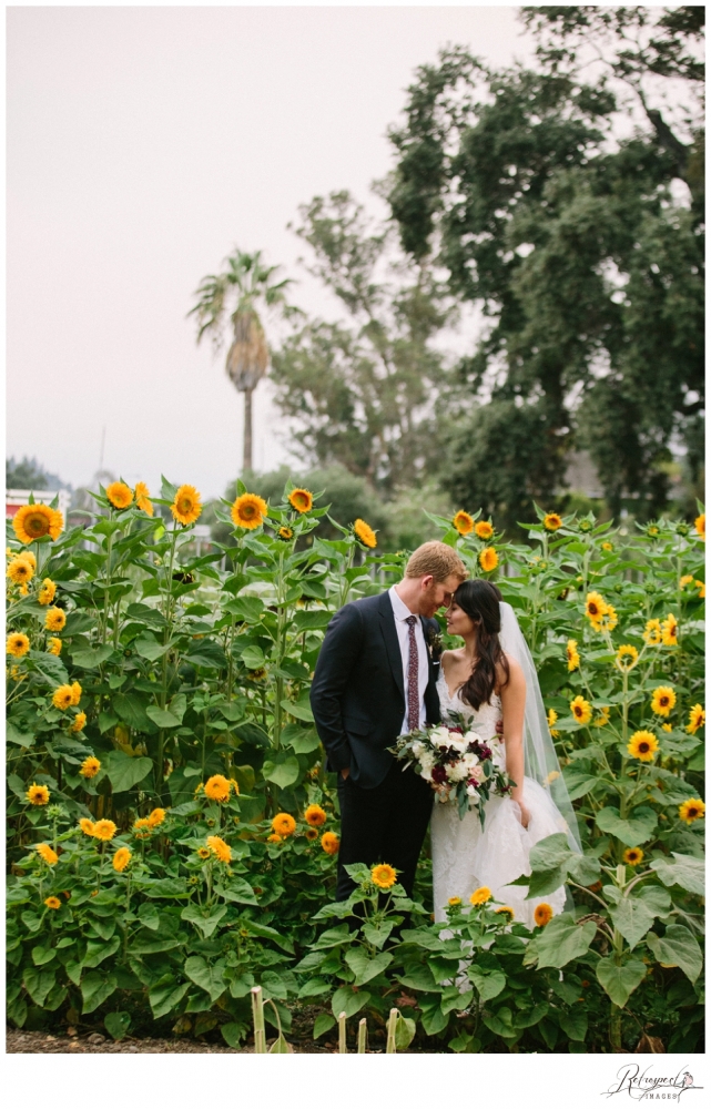 Farmstead Long Meadow Ranch Wedding, Jacqui + Kevin | St Helena Wedding ...