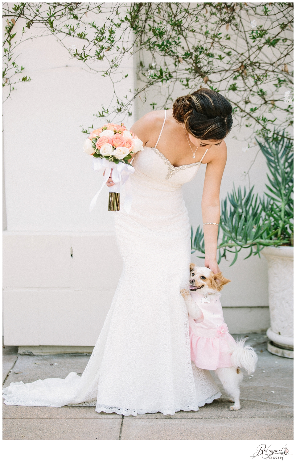 Connie + Johann, The Bridges Wedding | San Ramon Wedding Photography ...