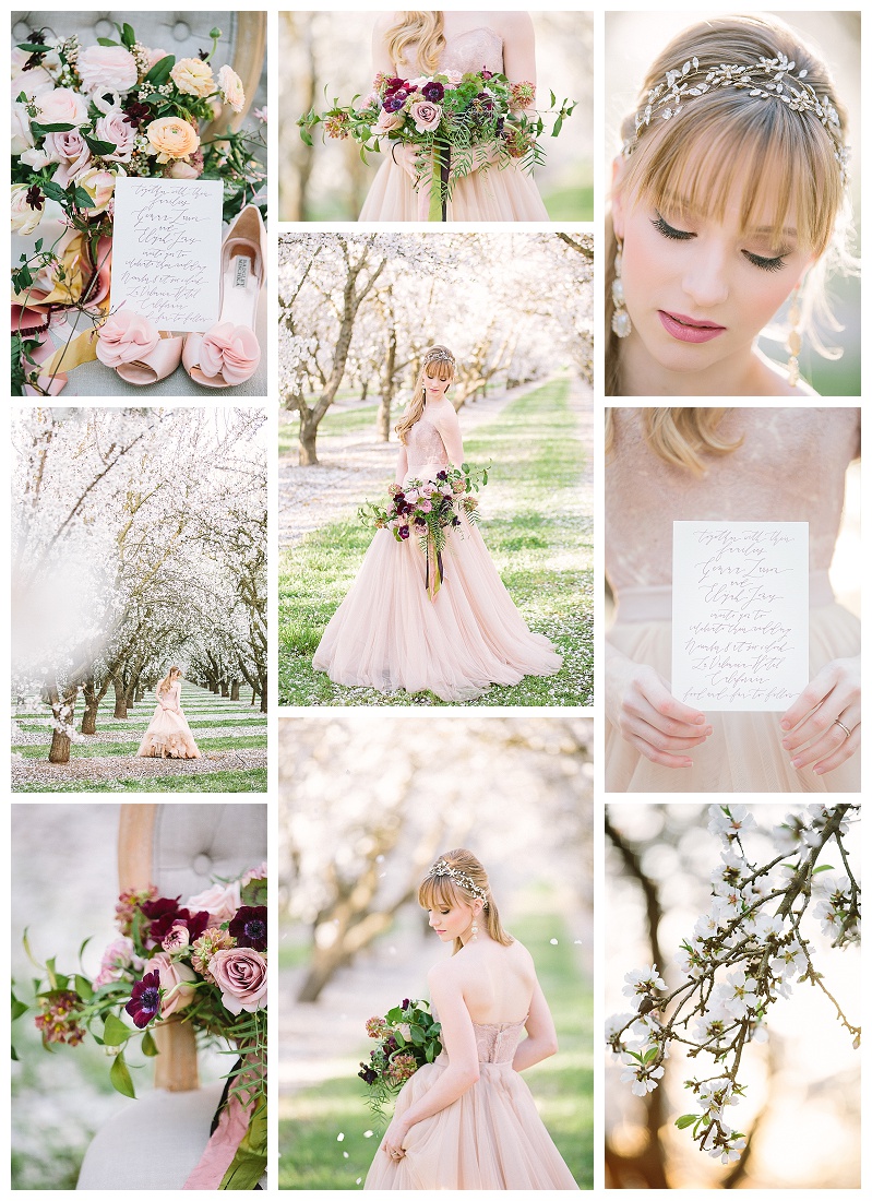 Creative Direction Favorites - Retrospect Images